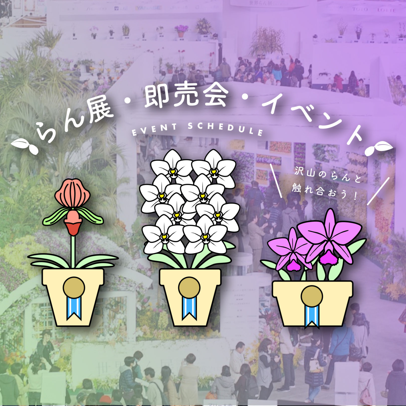 EVENT / イベント | ORC MAGAZINE | オークマガジン